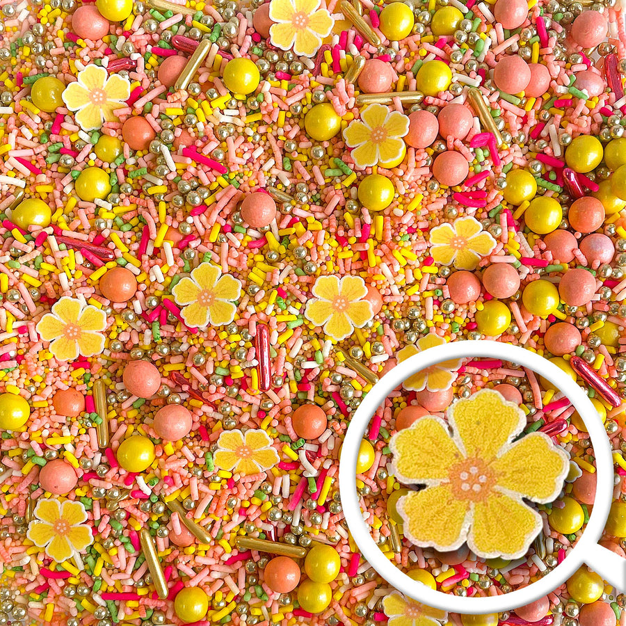 Sprinkle Pop | Trendy Sprinkle Mixes